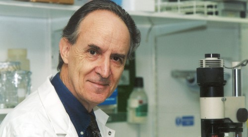 Prof Mel Greaves Tildys Trust